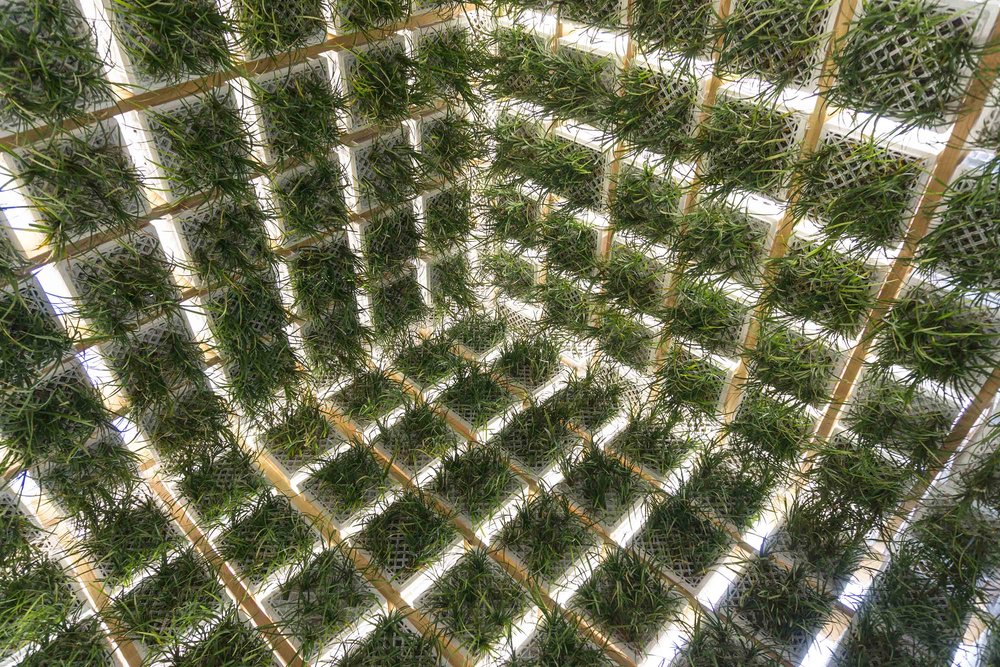 Um impressionante jardim invertido para levar a natureza para os ...