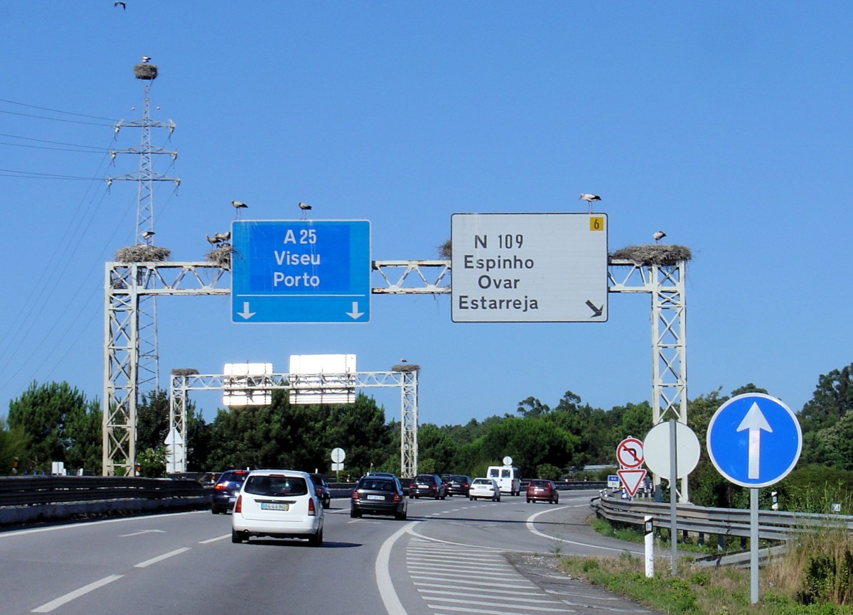 Novos radares de velocidade em Portugal: onde estão? O que devo saber ...