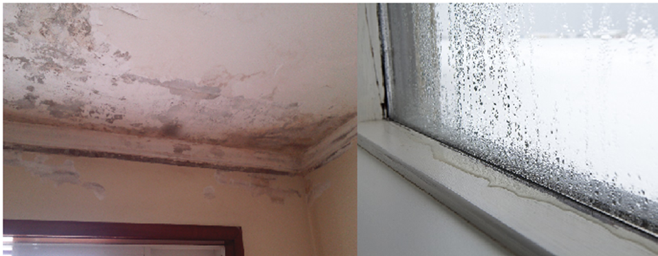 Humidade em casa? Dicas para resolver o problema — idealista/news