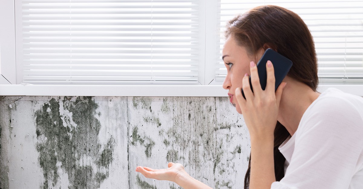 Como resolver os problemas de humidade em casa — idealista/news