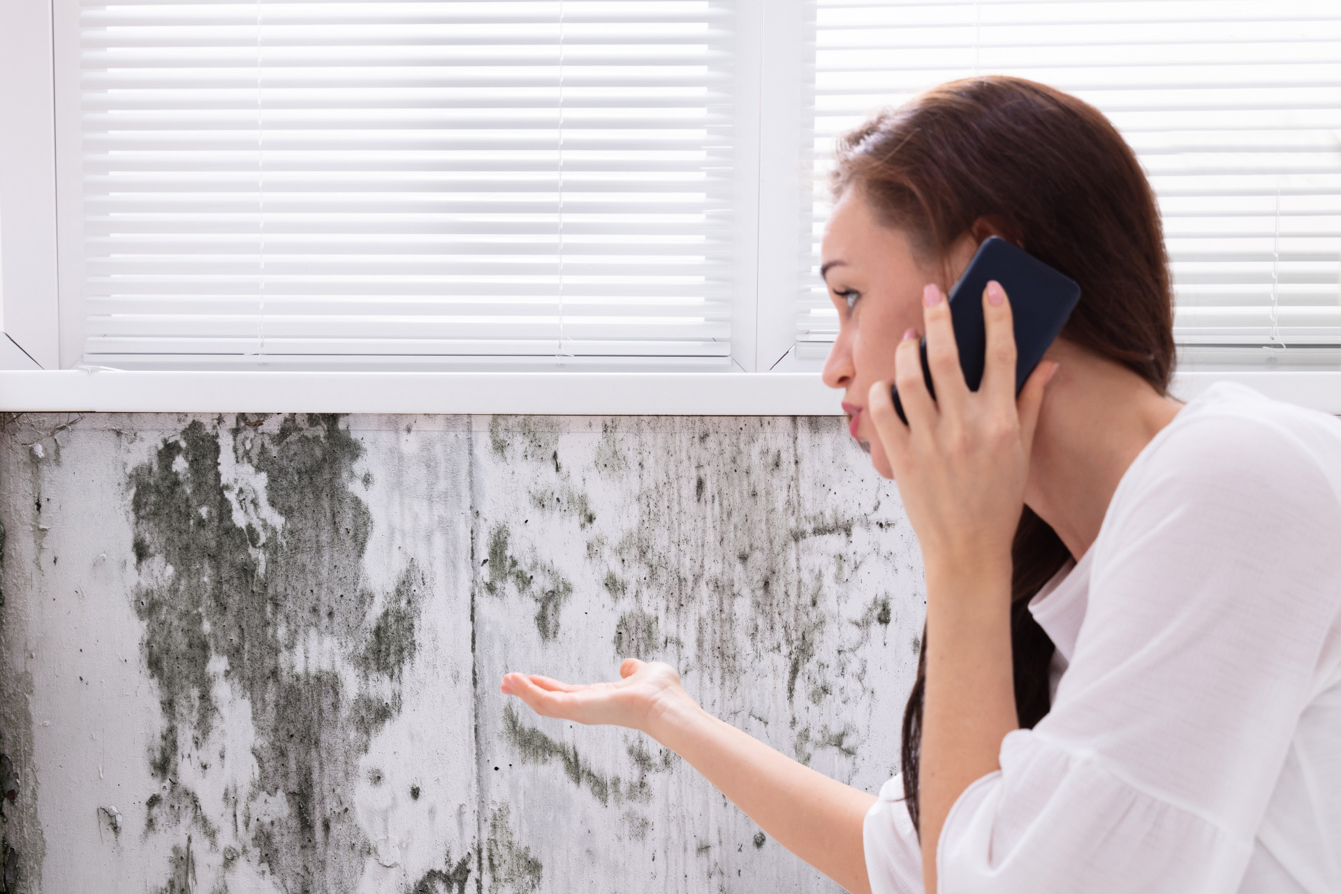 Humidade em casa? Estes truques ajudam a limpar paredes e tetos ...