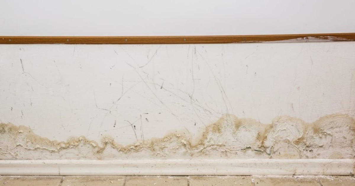 Tipos de humidades e como resolver — idealista/news