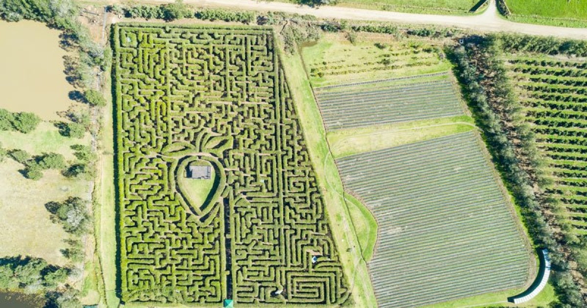 Os labirintos mais impressionantes do mundo — idealista/news