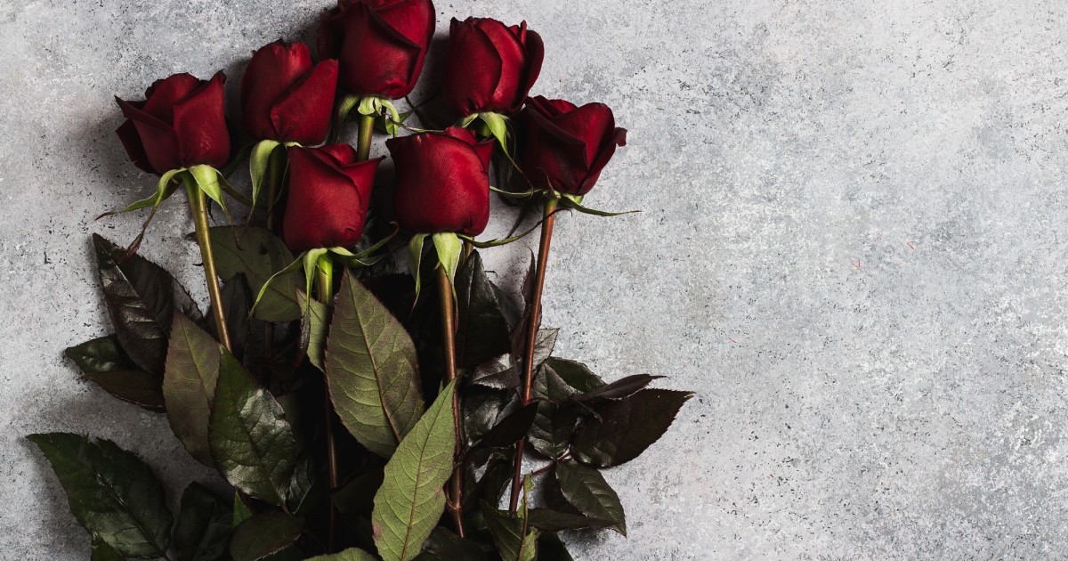 Qual é o significado da cor das rosas? — idealista/news