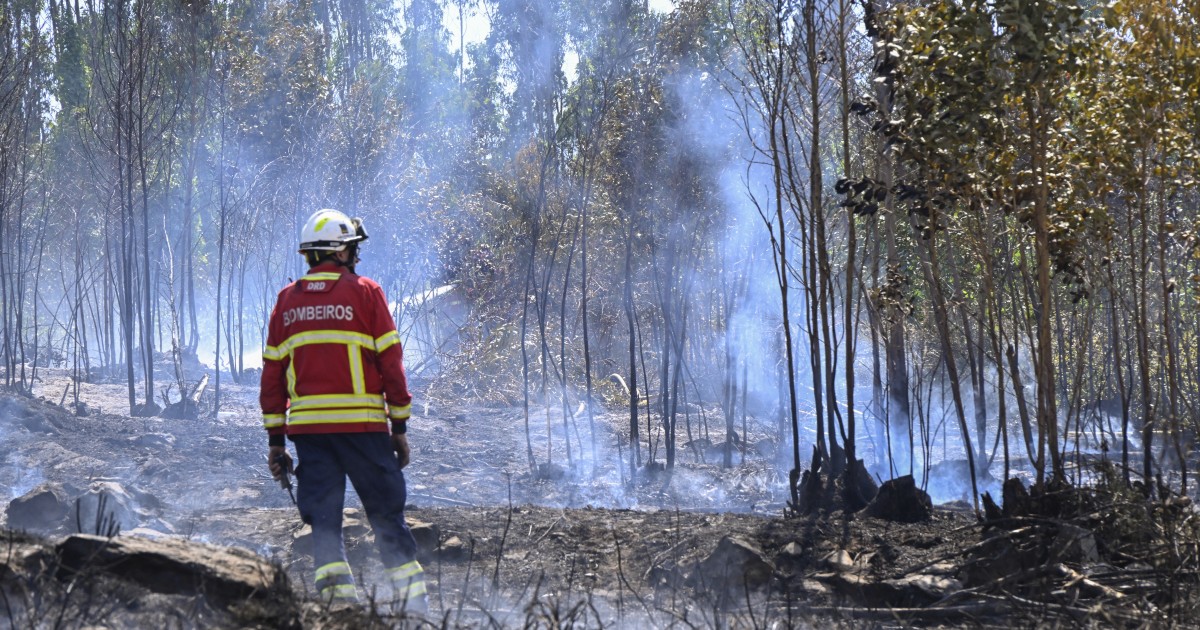 Portugual wildfires 2025: national alert extended — idealista/news